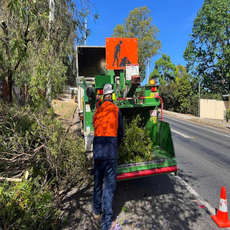 Mulching - Western Mob Tree Services